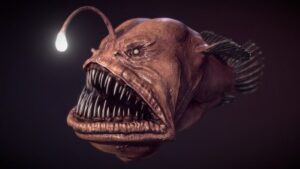 Deep Sea Anglerfish That Resembles An Alien Creature Washed Up On A ...
