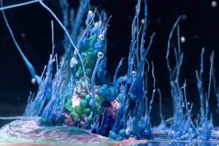 Crystal Chemical Garden Experiment: Metal Salts With Sodium Silicate ...